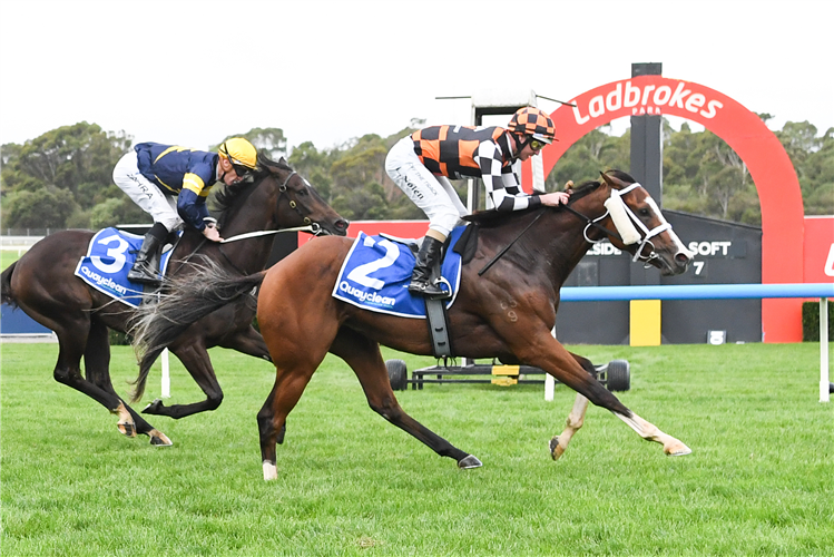 Ladbrokescomau: Tom Hedley - The King Of Cairns | Racing and Sports