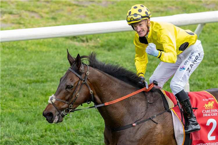 Jake Norton From The Melbourne Racing Club Chats Caulfield Cup ...