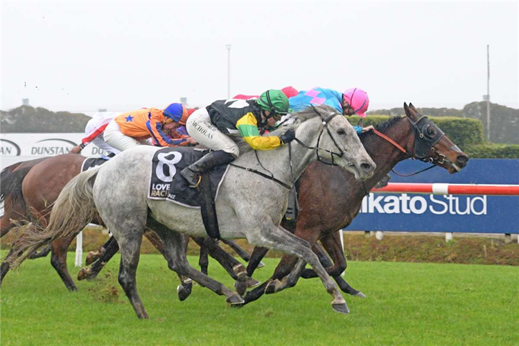 Wordsworth Triumphant At Te Rapa | Racing and Sports