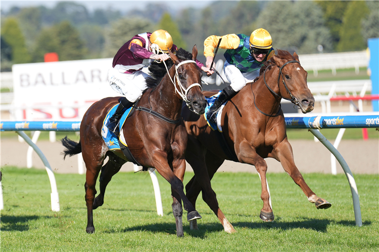 Today’S Horse Racing Tips - 16th May 2023 | Racing and Sports