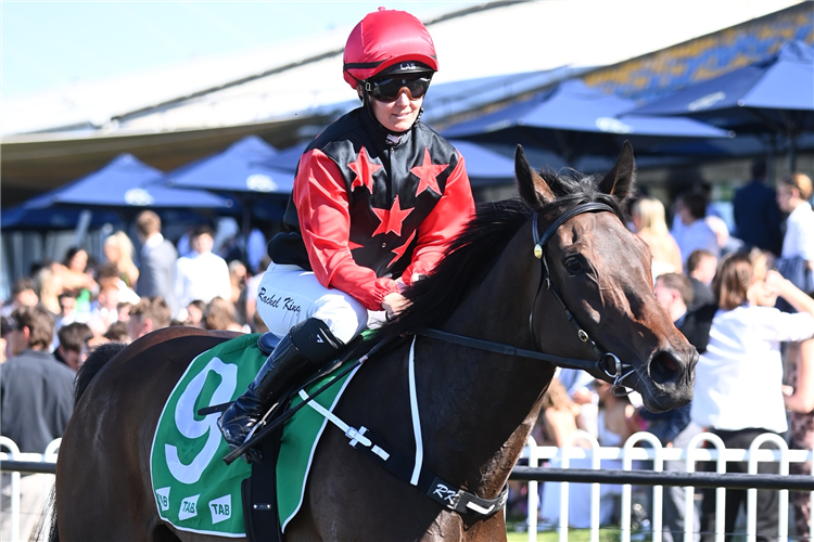 King Expecting Exciting Ozzmosis To Stamp Spring Credentials | Racing ...