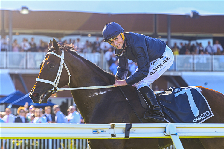 ‘Special’ Auguste Rodin Just One To Look Forward To For Moore | Racing ...