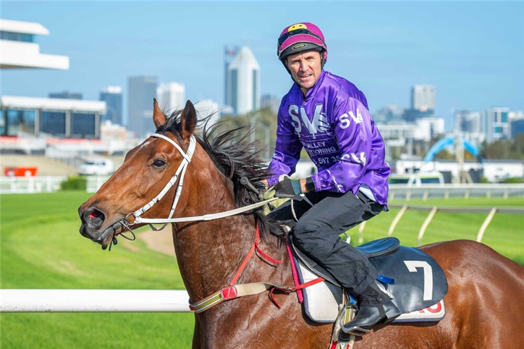 O'donnell's Big Push For Too Dardy | Racing and Sports