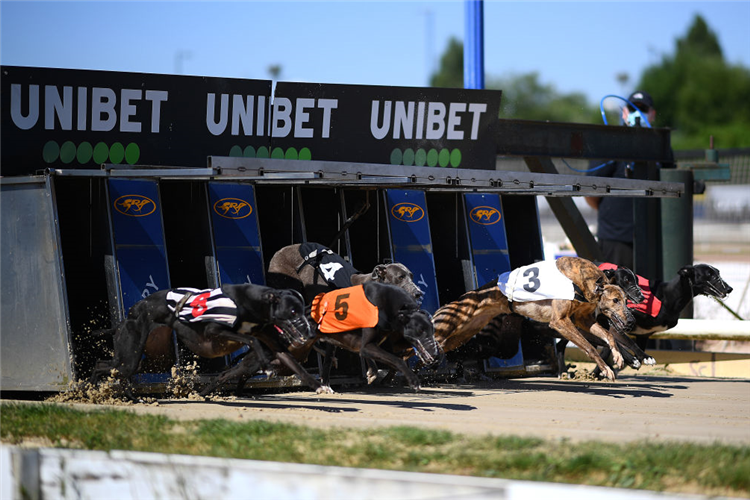 Michelle’S Belles Come Up Roses | Racing and Sports