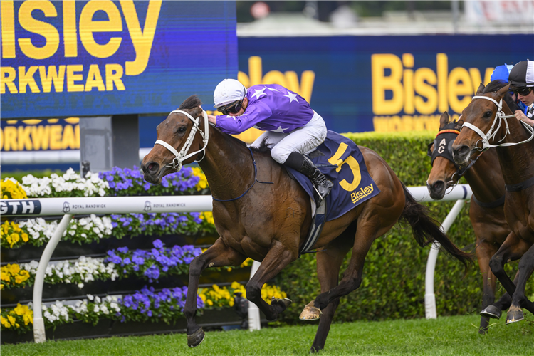 Aeliana Wins Group 3 Bisley Workwear Reginald Allen Quality: Post Race ...