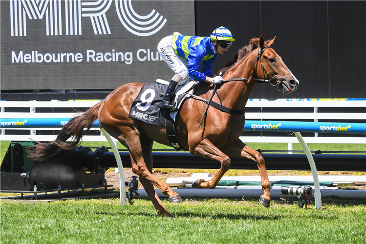 Another Wil Wins Mrc Clip Clop Club Handicap: Post Race Trainer And ...