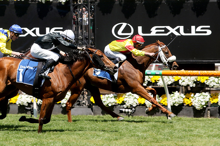 Arran Bay Returns For Adelaide Assignment | Racing and Sports