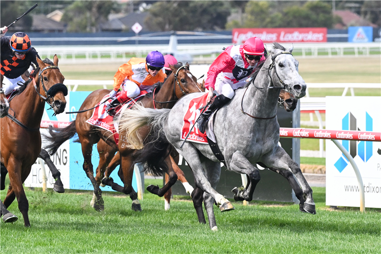 Autumn Storm Wins Sen Track Bm70 Handicap: Post Race Trainer And Jockey ...