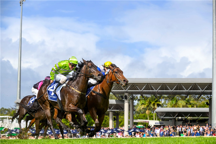 Sunshine Turf Club Back-Up Polytrack Meeting Programmed | Racing and Sports