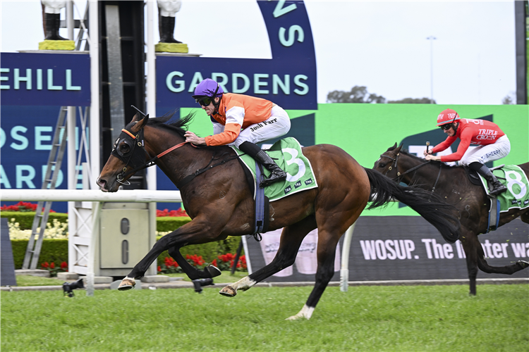 El Castello Wins Group 3 Tab Gloaming Stakes: Post Race Trainer And ...