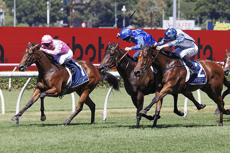 2025 Reisling Stakes: Race History | Racing and Sports