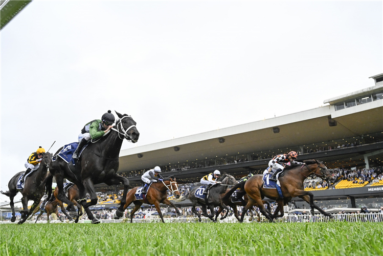 Today’S Horse Racing Tips - 9th March 2025 | Racing and Sports