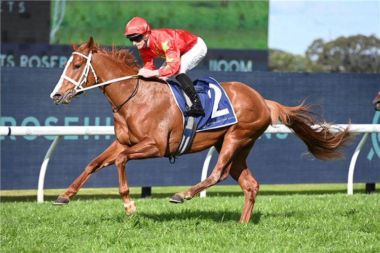 Kembla Grange (Australia) Racecourse | Thoroughbred | Races Today ...