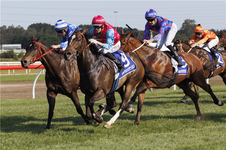 Jason Witham's Kembla Grange Picks - Tuesday, 28 January | Sky Racing ...