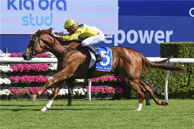 Randwick Kensington Selections, Trial Watch And Blackbook Reports - May ...