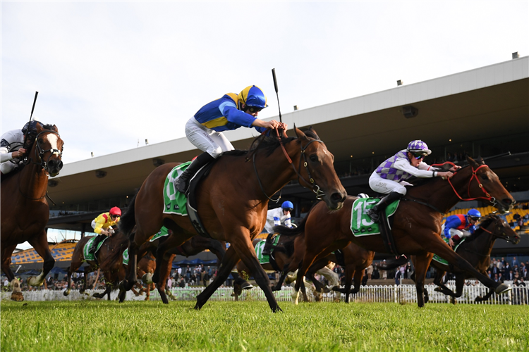 Today’S Horse Racing Tips - 31st July 2024 | Racing and Sports