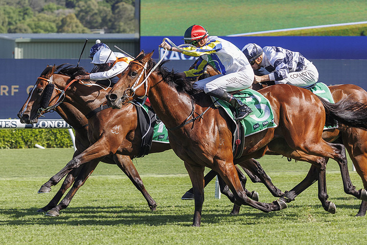 Lees' Gelding Aims For Scone Glory As Stablemate Returns | Sky Racing ...