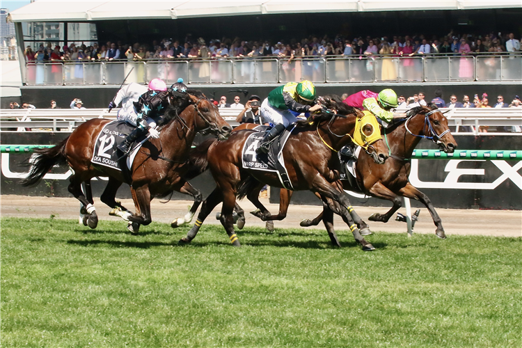 Recent Photo Finishes In The Melbourne Cup | Racing and Sports