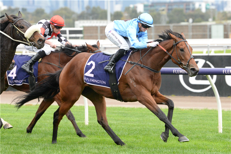 Double Shot At Ballarat Cup Success | Sky Racing World | Sky Racing World