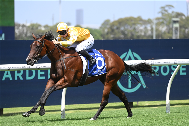 Lady Of Camelot Wins The Widden Stakes: Post Race Trainer And Jockey ...