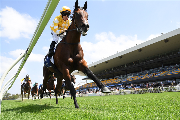 'All Systems Go' With Lady Of Camelot Ahead Of Blue Diamond Tilt ...