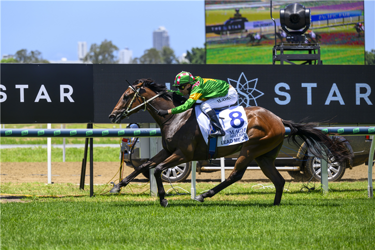 Lead Me On Wins The Magic Millions The Debut 2Yo Colts & Geldings Plate ...