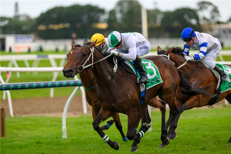 Mr O’Reilly Wins Mcgwill Enterprises Christmas Party Maiden Handicap ...