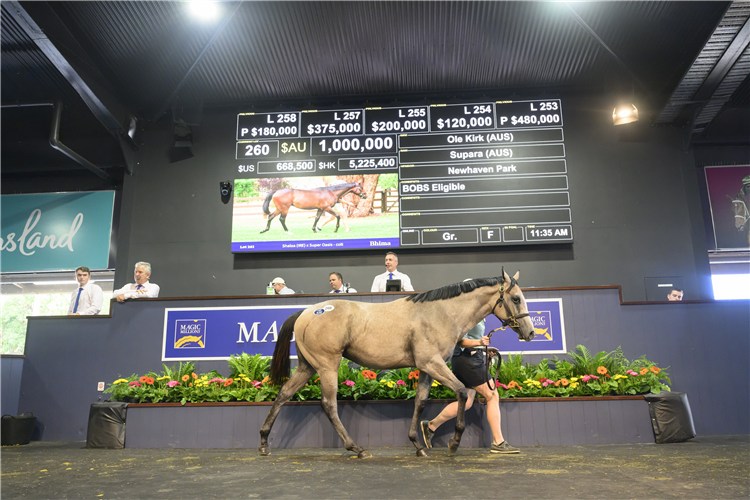 Robbie Griffiths Explains Why He Broke The Bank For An Ole Kirk Filly ...