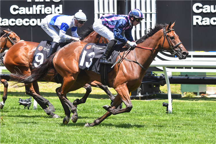 Regal Vow Wins Sharp Eit Solutions Handicap: Post Race Trainer And ...