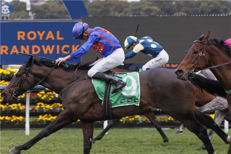 Jason Witham's Randwick Picks - Friday, 12 July | Sky Racing World ...