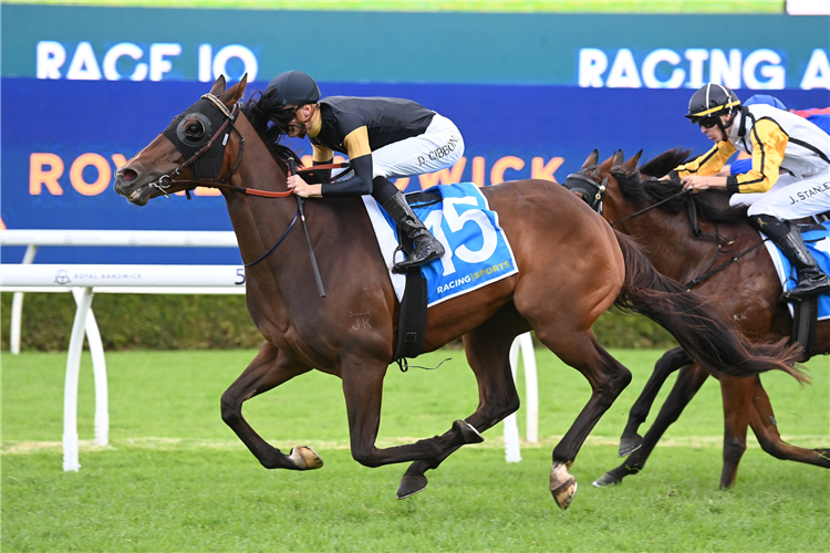 Jason Witham's Randwick Picks - Friday, 21 June | Racing and Sports