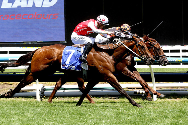 2025 Autumn Stakes: Race History | Racing and Sports