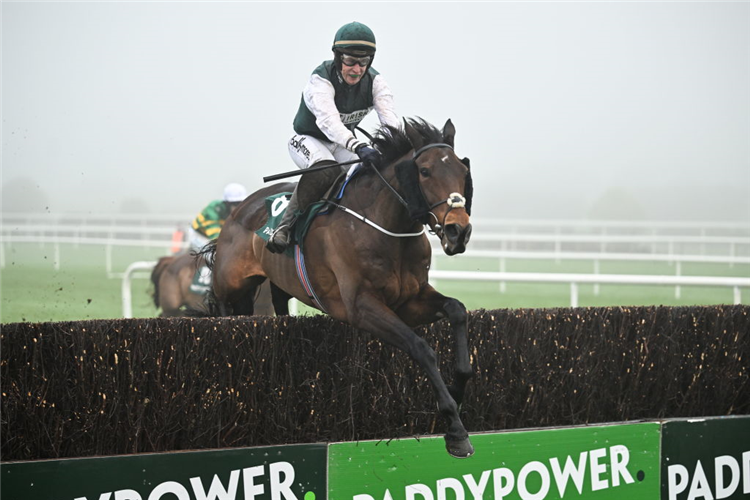 Solness Dominates From Front In Dublin Chase | Racing and Sports