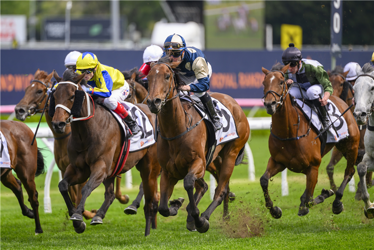 Staking Strategy: Launceston - Friday, 18th October 2024 | Sky Racing ...