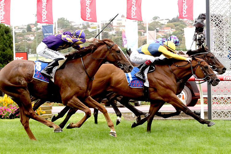 Strawberry Rock Gives Maher Hobart Cup Quinella | Racing and Sports