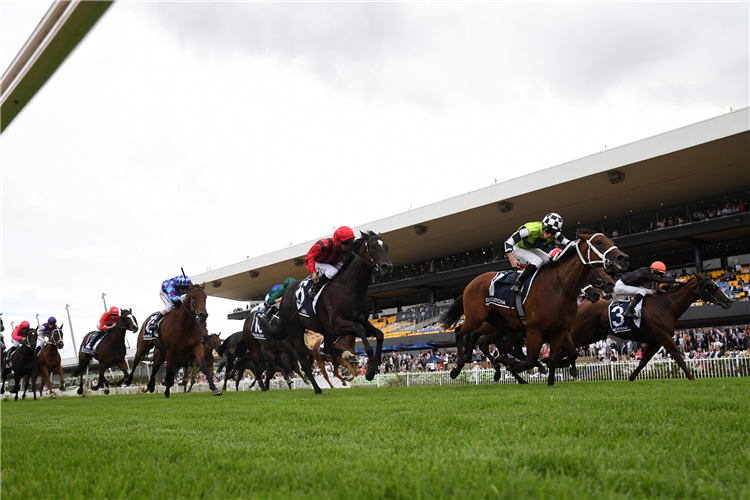 2025 Coolmore Classic: Race History | Racing and Sports