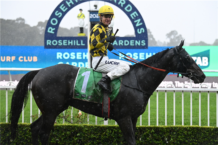 Jason Witham's Rosehill Picks - Friday, 14 June | Sky Racing World ...