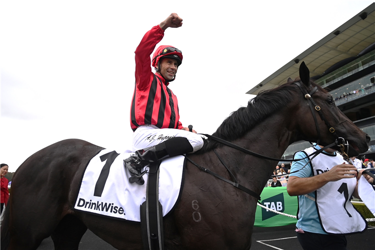 Surround Stakes | Racing and Sports