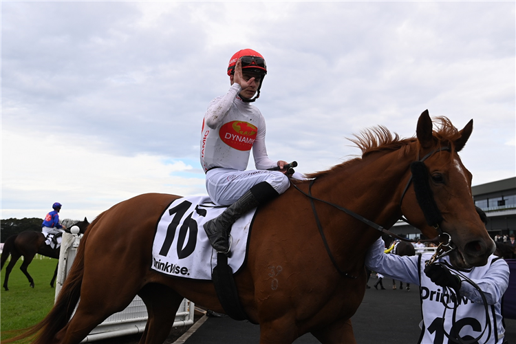 Ocean Alps Wins The Embrook Horse Transport Handicap: Post Race Trainer ...