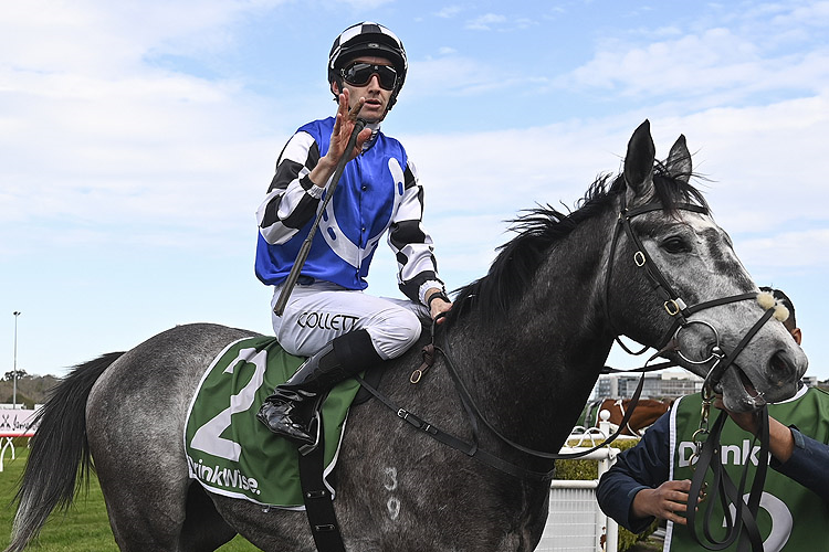 Archibalds’ Import Captures Messy Grafton Cup | Sky Racing World | Sky ...