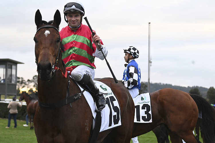 Jones Confident Emerging Filly Can Take Flight | Racing and Sports