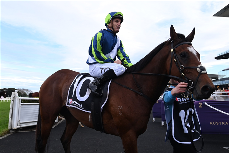 Clark Hoping Mayfair Makes Light Work Of Heavy Debut | Sky Racing World ...