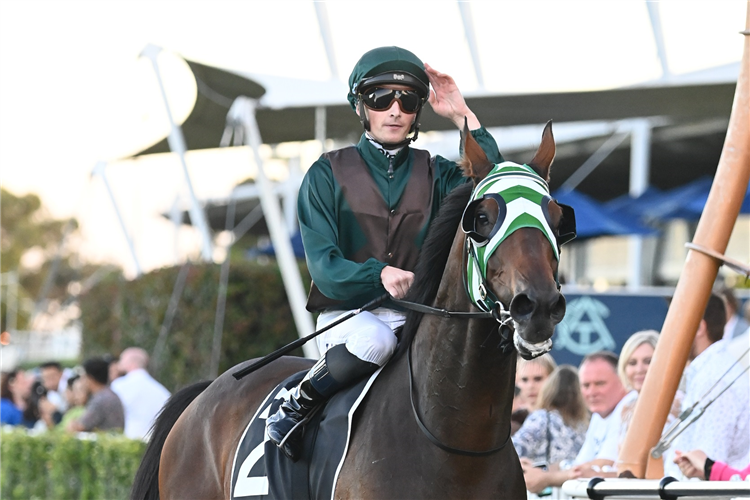 Neasham Colt Shows Character In Dynamic Win | Racing and Sports