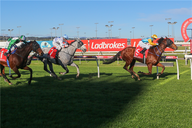 A Preview Of Wednesday Night's Launceston Meeting | Racing and Sports