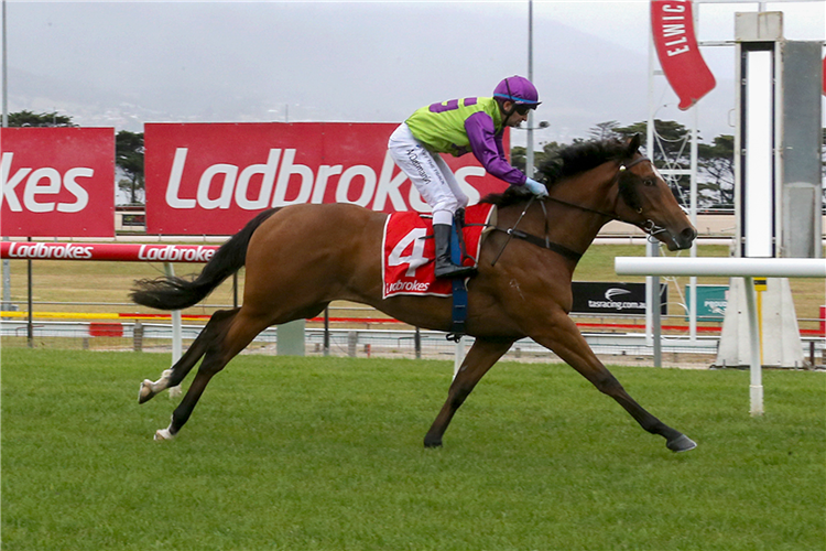 Tasmanian Weekend Racing Preview | Rsn | Racing and Sports