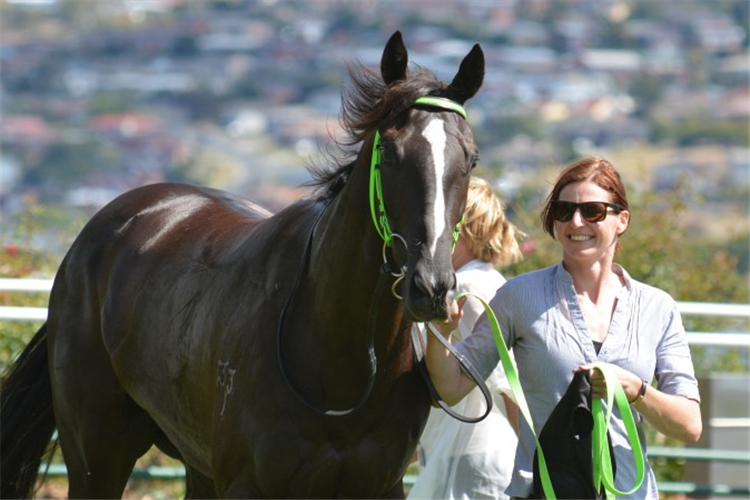 Imogen Miller Heads To Hobart With Strong Hand | Racing and Sports