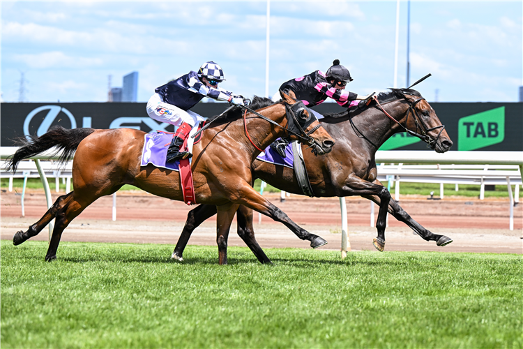 Al Duca Wins The Good Friday Appeal Trophy: Post Race Trainer And ...