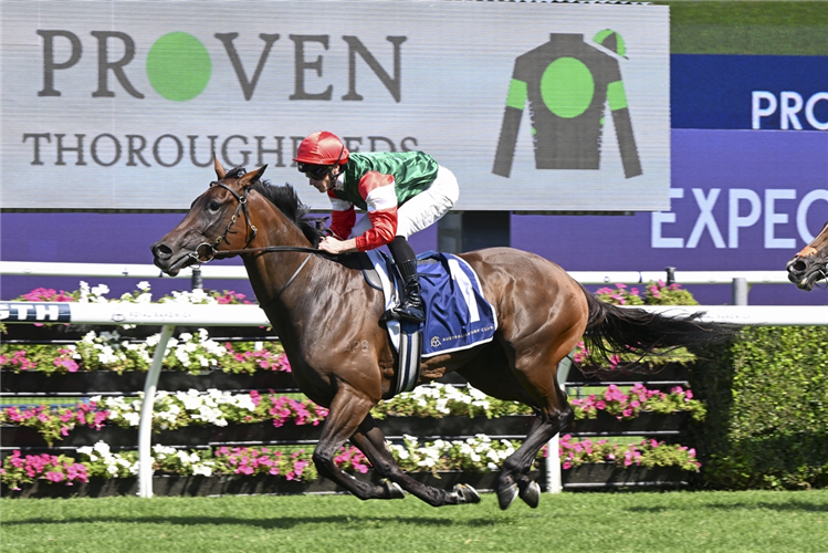 Amelia’S Jewel Wins Group 2 Proven Thoroughbreds Guy Walter Stakes ...