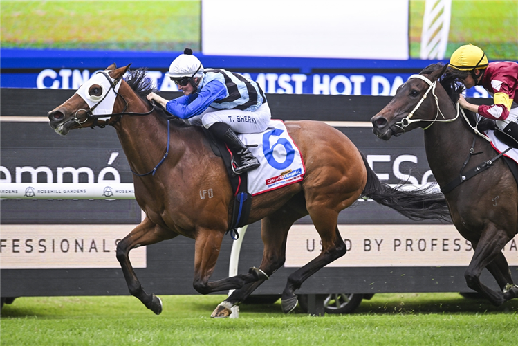 Glamour Upstages Hot Danish Rivals | Sky Racing World | Sky Racing World