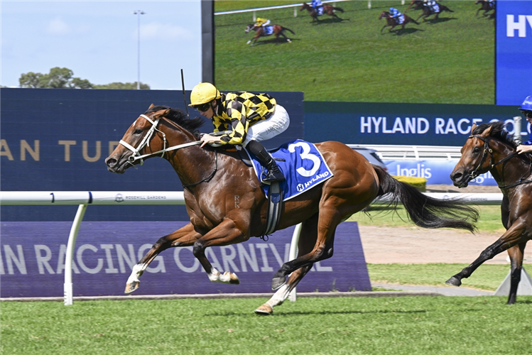 Autumn Glow Wins Listed Hyland Race Colours Darby Munro Stakes: Post ...